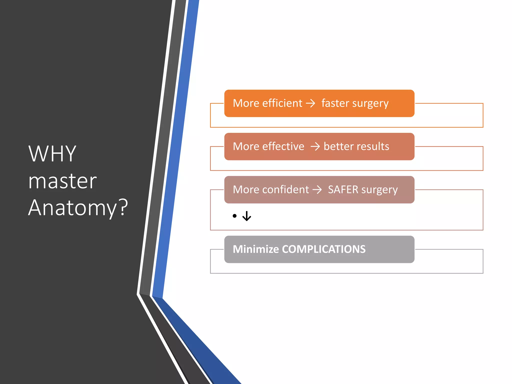 Surgical anatomy or anatomical surgery | PDF