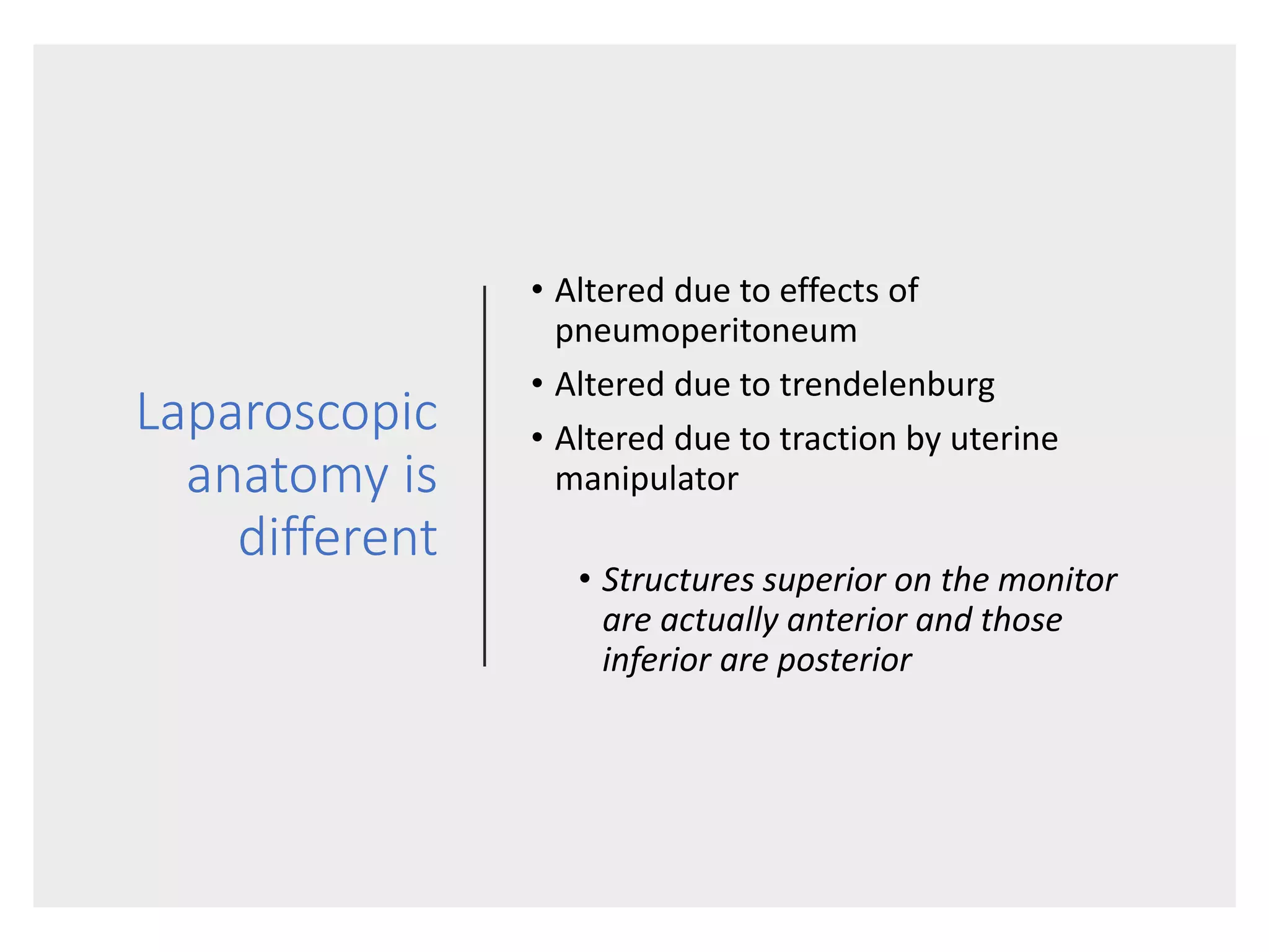 Surgical anatomy or anatomical surgery | PDF