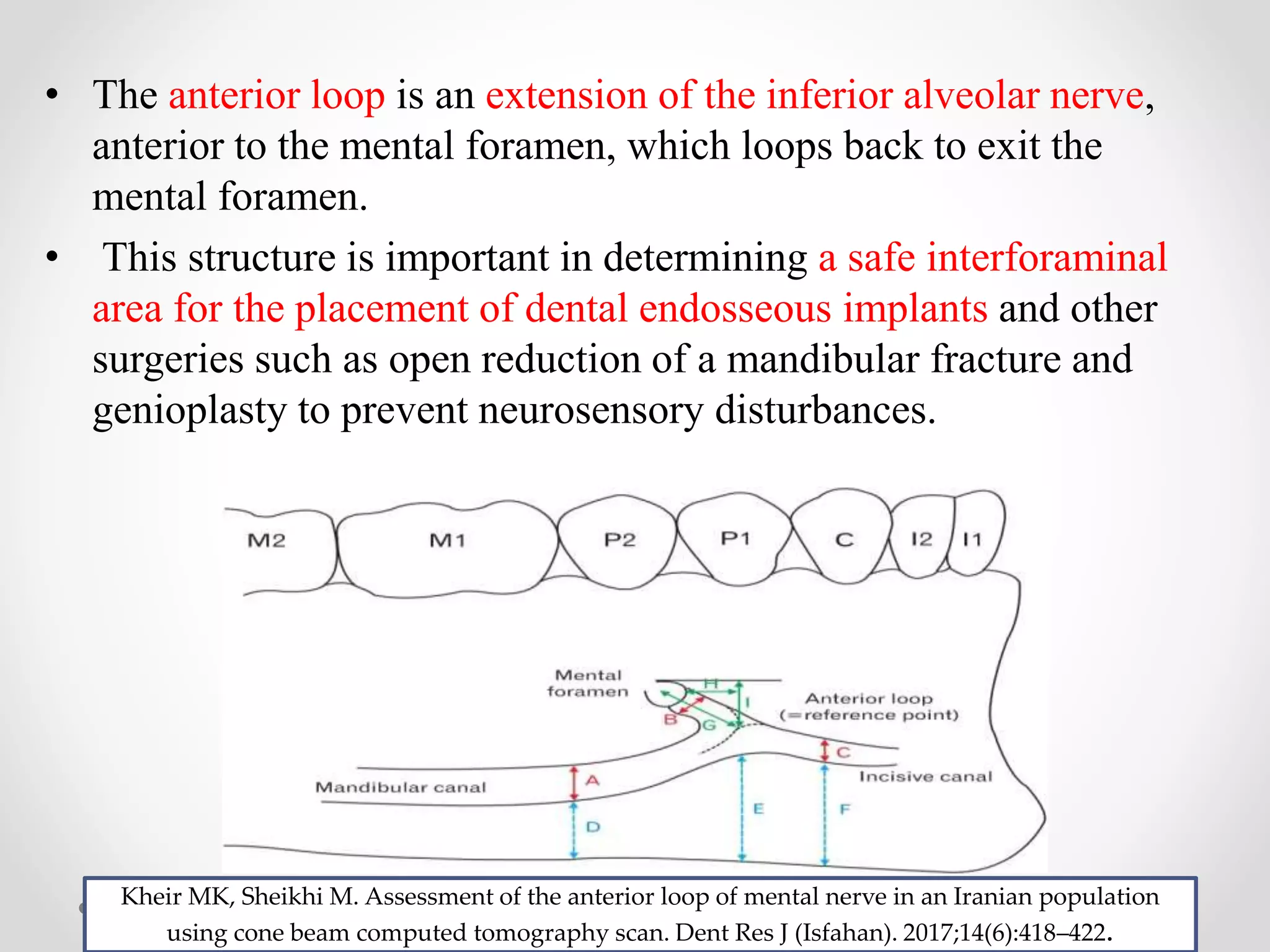 IMPORTANT ANATOMICAL CONSIDERATIONS IN PERIODONTAL SURGERY AND IMPLANTS ...