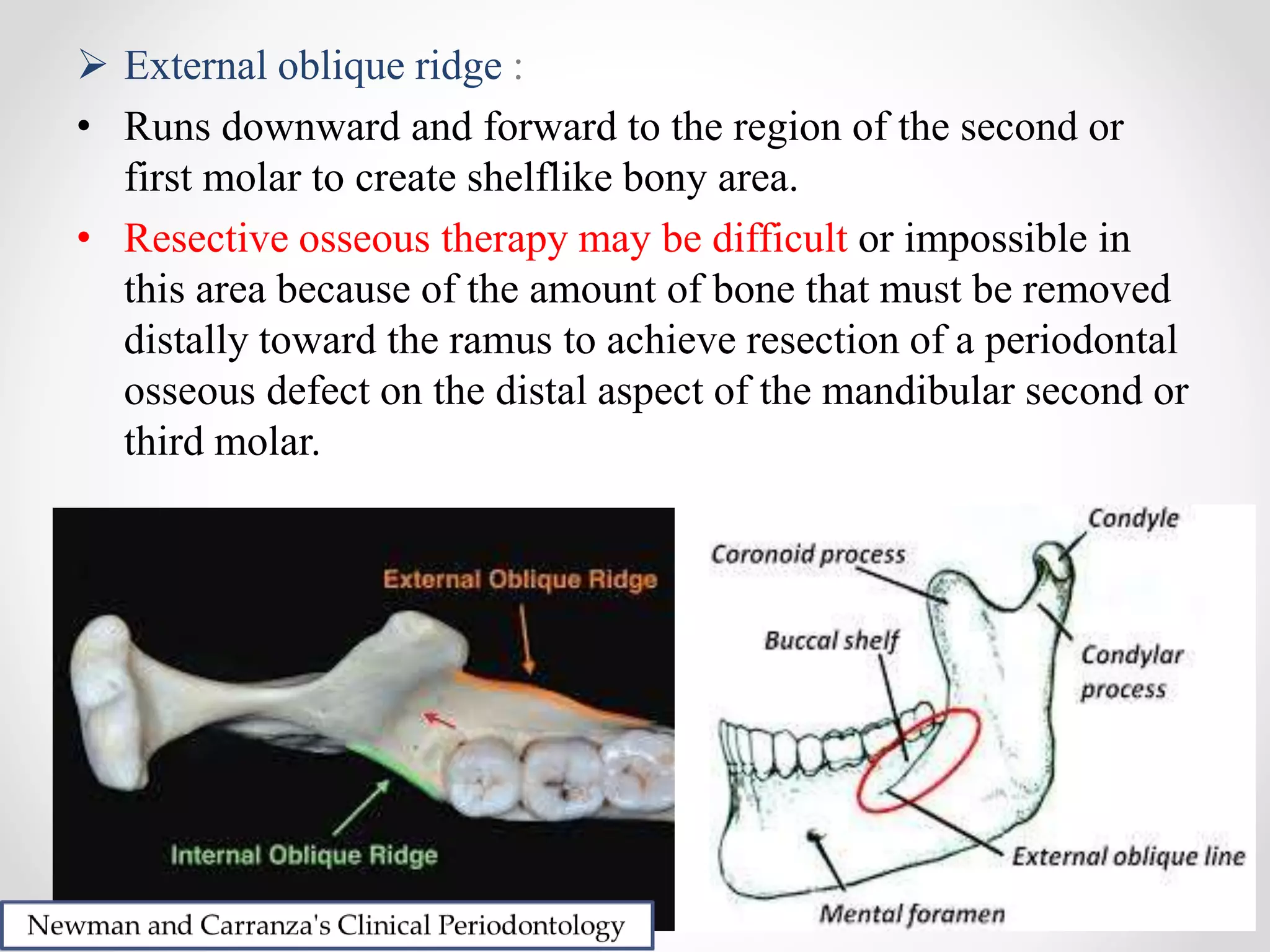IMPORTANT ANATOMICAL CONSIDERATIONS IN PERIODONTAL SURGERY AND IMPLANTS ...