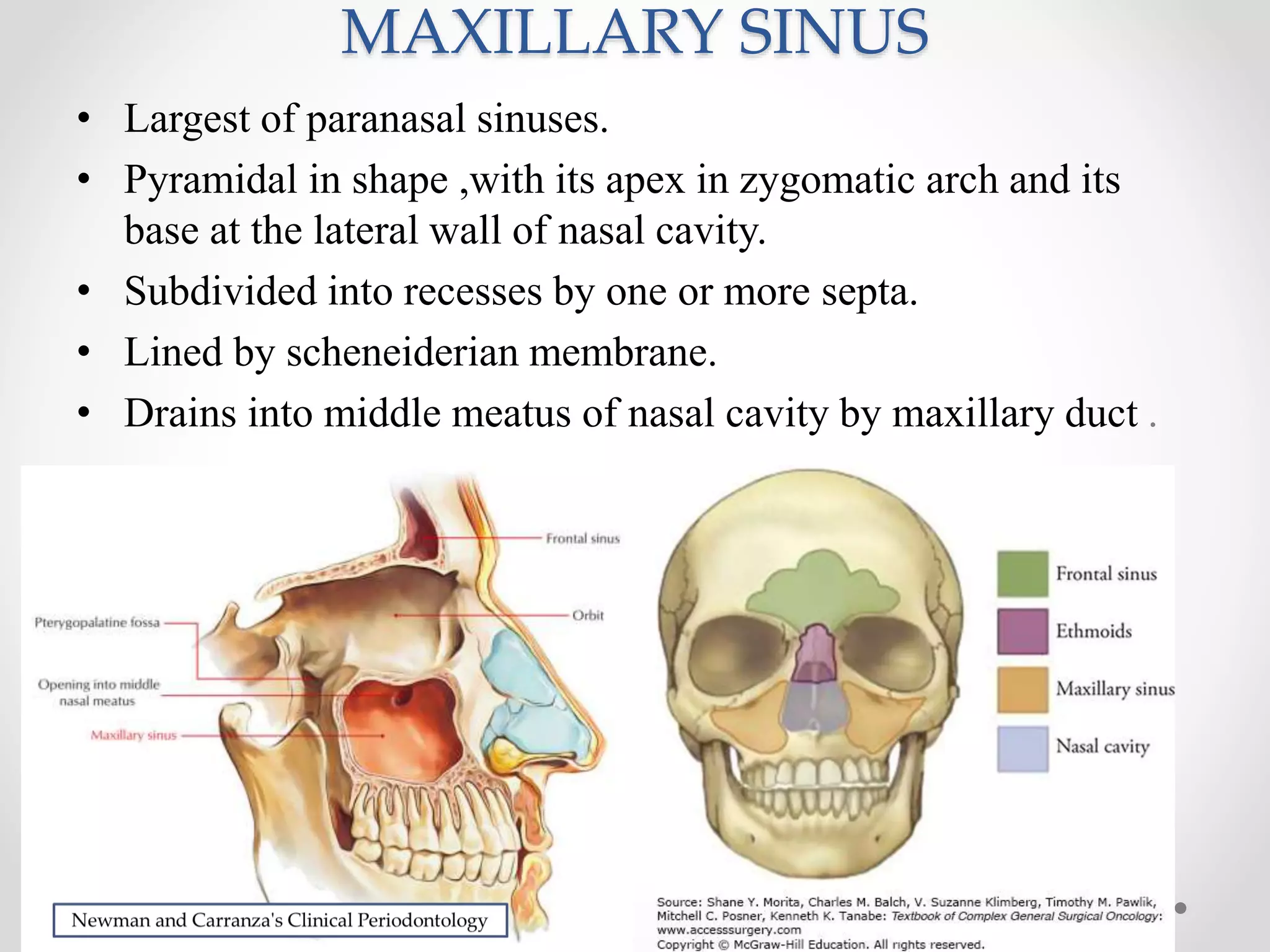 IMPORTANT ANATOMICAL CONSIDERATIONS IN PERIODONTAL SURGERY AND IMPLANTS ...