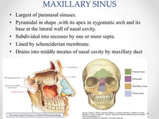 IMPORTANT ANATOMICAL CONSIDERATIONS IN PERIODONTAL SURGERY AND IMPLANTS ...