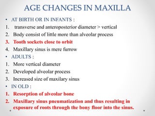 IMPORTANT ANATOMICAL CONSIDERATIONS IN PERIODONTAL SURGERY AND IMPLANTS ...