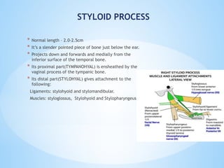 Surgical anat Temporal bone in detail... | PPTX