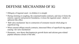 SURGICAL AND APPLIED ANATOMY OF THE INGUINAL CANAL BK.ppt