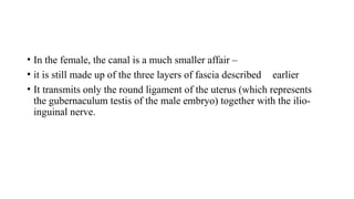 SURGICAL AND APPLIED ANATOMY OF THE INGUINAL CANAL BK.ppt