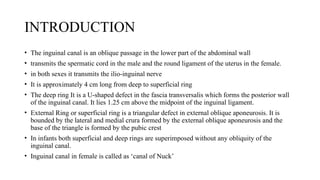 SURGICAL AND APPLIED ANATOMY OF THE INGUINAL CANAL BK.ppt