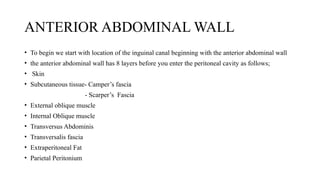 SURGICAL AND APPLIED ANATOMY OF THE INGUINAL CANAL BK.ppt