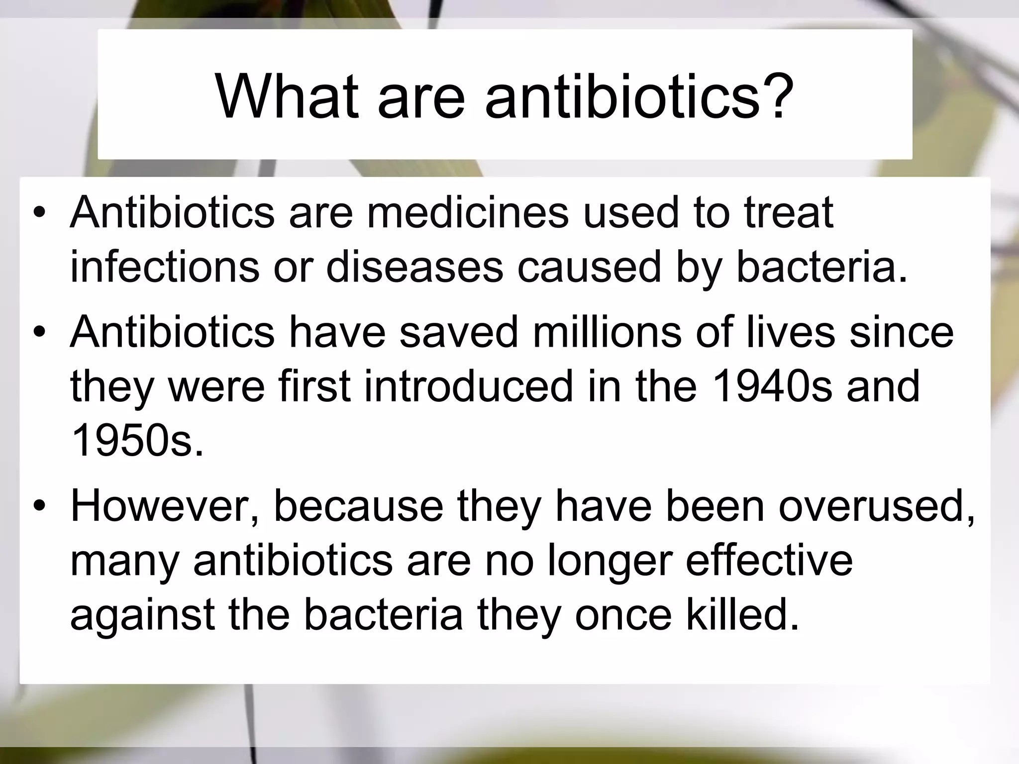 Surgical antibiotic | PPTX