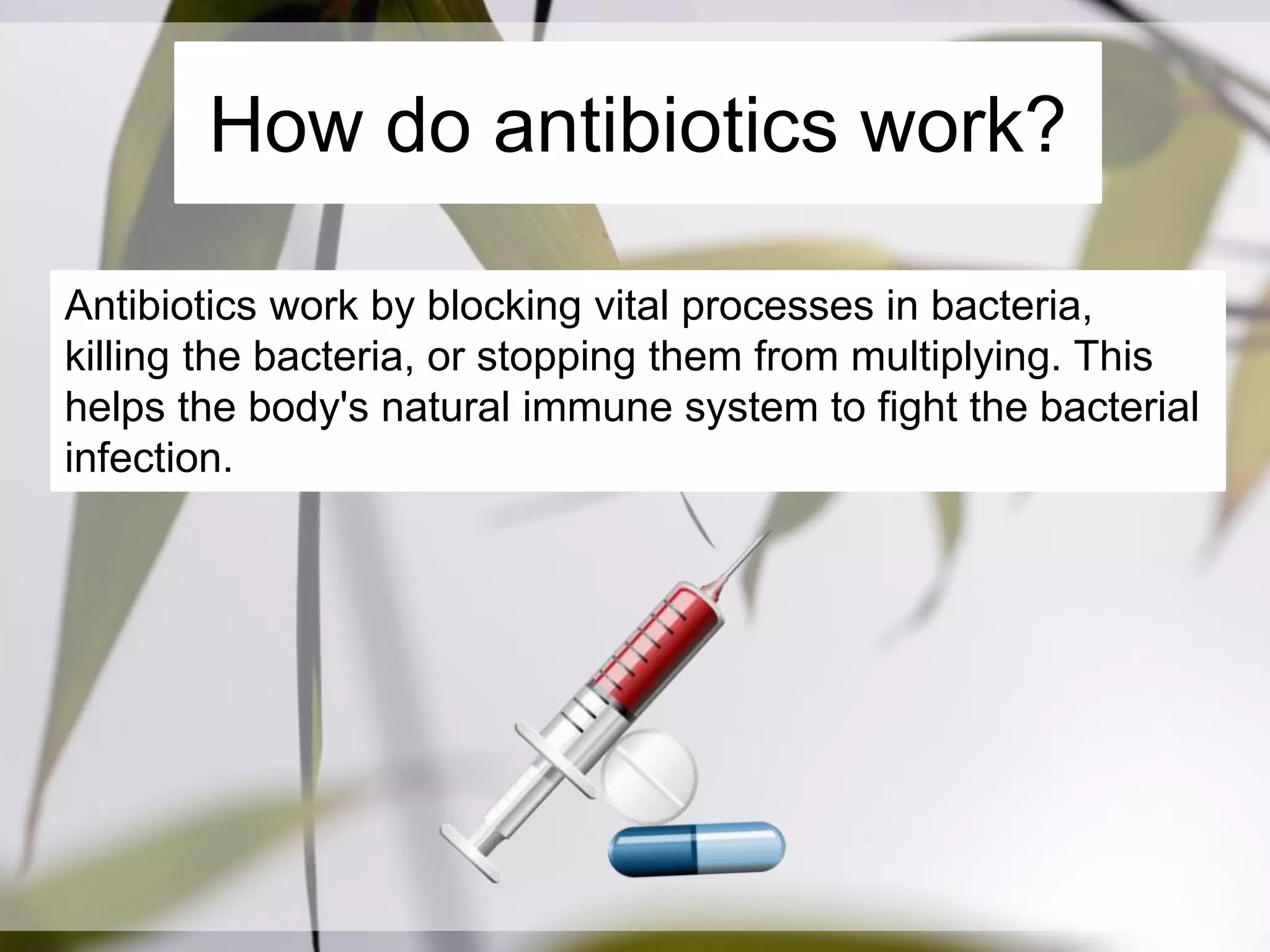 Surgical antibiotic | PPTX
