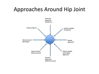 Surgical approach around hip and knee | PPTX