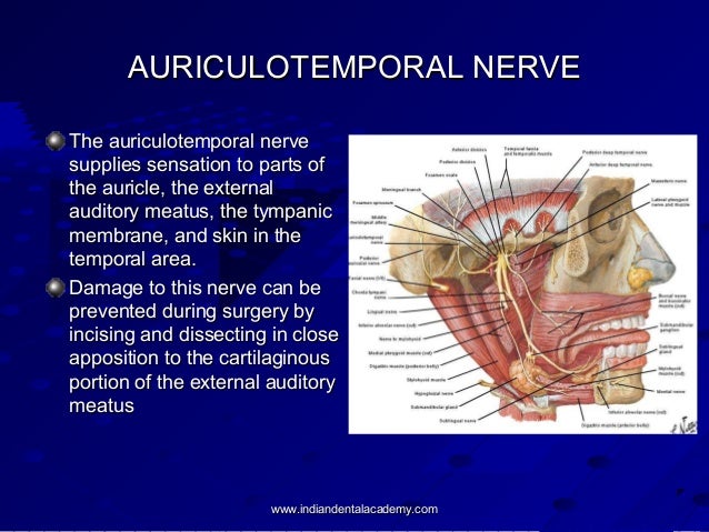 Surgical approaches of TMJ /certified fixed orthodontic courses by
