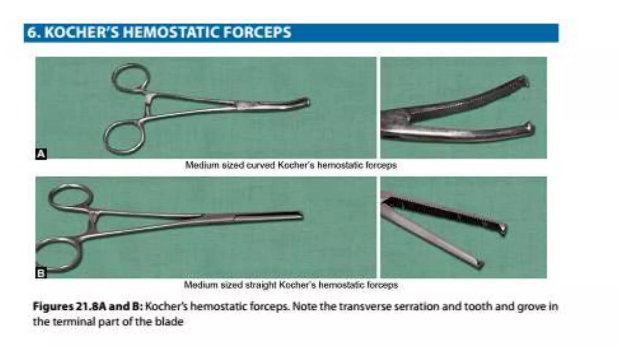 SURGICAL APPROACHES,INCISIONS AND USE OF APPROPRIATE.pptx