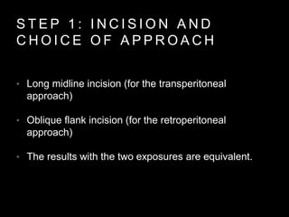 Surgical approaches to abdominal vessels | PPT