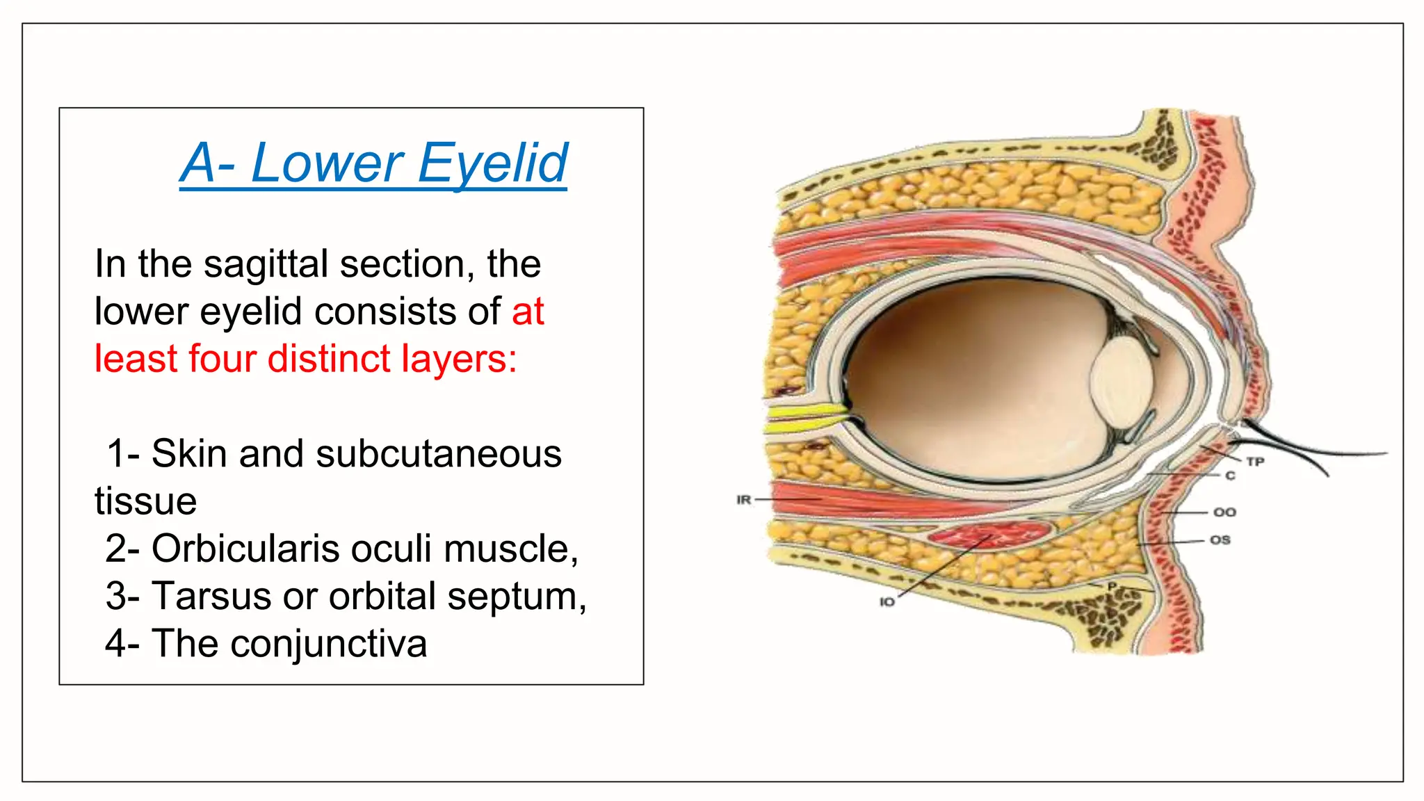 surgical approaches to facial skeleton -periorbital.pptx