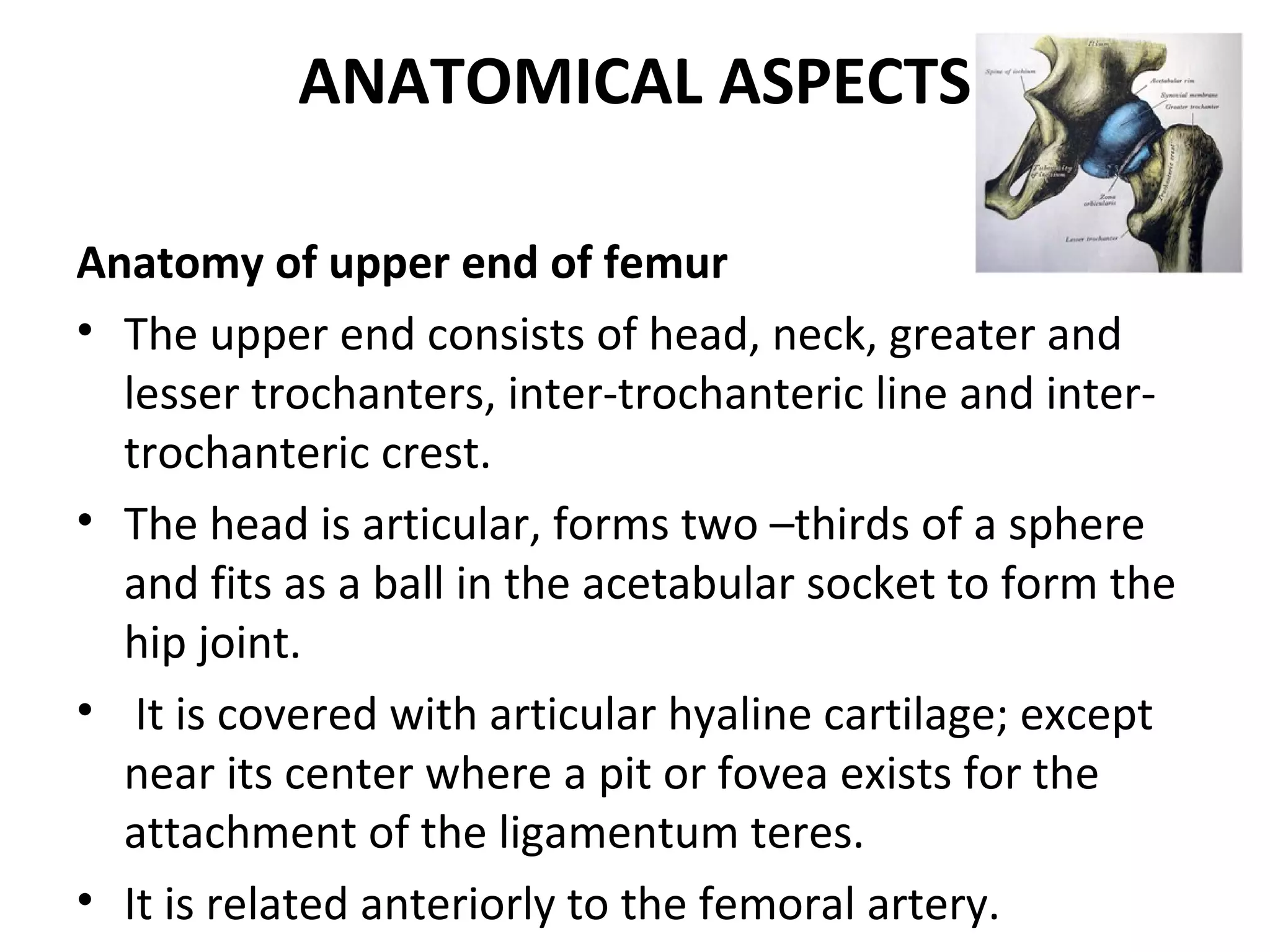 Surgical approaches to hip joint | PPT