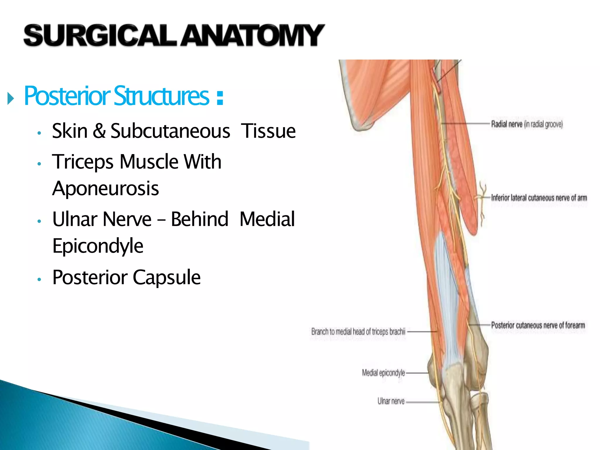 Surgical approaches to the elbow | PPTX