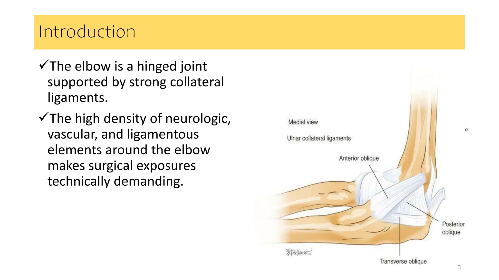 Surgical Approaches to the Elbow & Forearm.pptx
