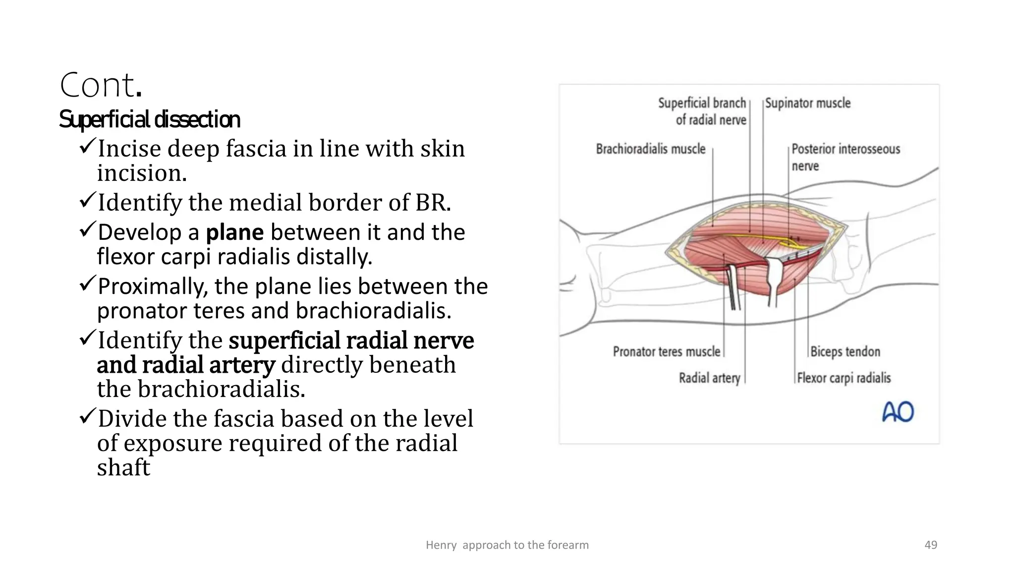Surgical Approaches to the Elbow & Forearm.pptx