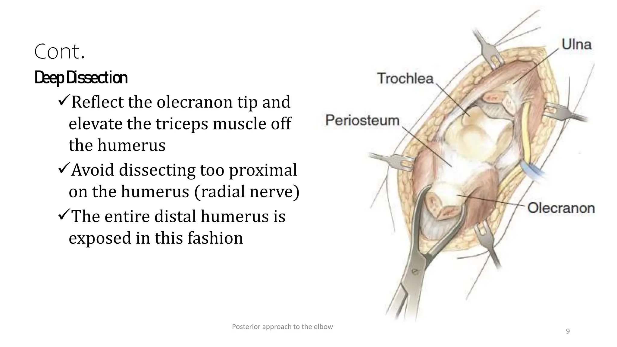 Surgical Approaches to the Elbow & Forearm.pptx