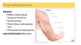 Surgical Approaches to the Elbow & Forearm.pptx