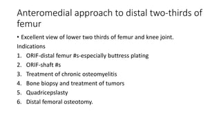 Surgical Approaches to the Femur.pptx