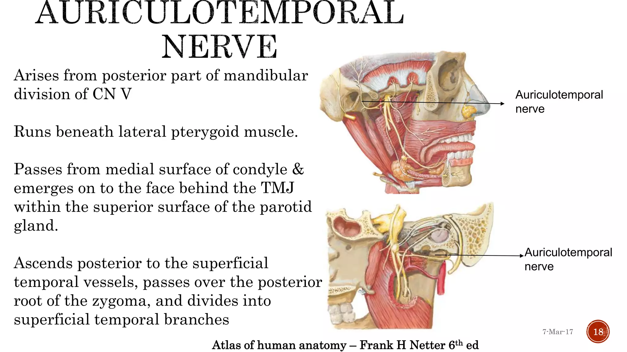 Surgical approaches to tmj | PPTX