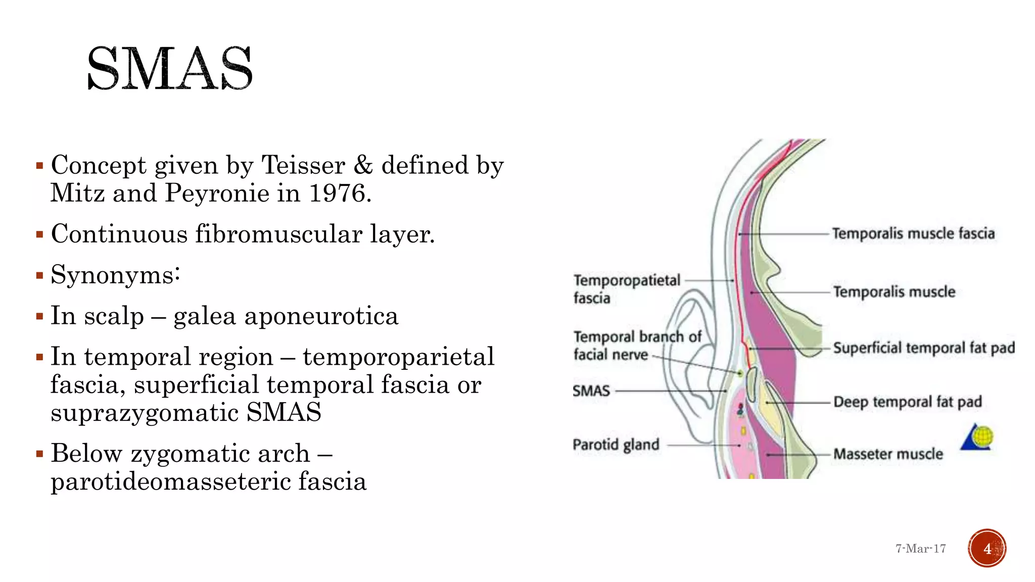 Surgical approaches to tmj | PPTX