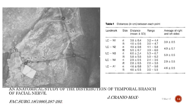 Surgical approaches to tmj | PPTX | Ear, Nose and Throat Conditions ...