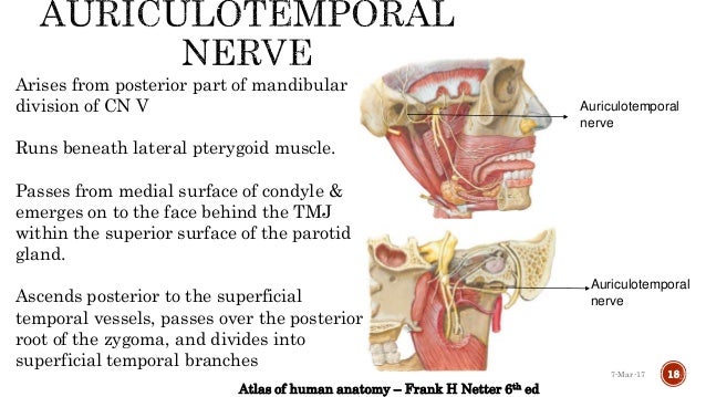 Surgical approaches to tmj