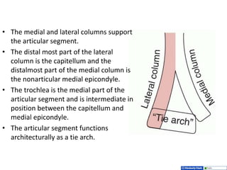 Surgical approach intercondylar/ supracondylar humerus fracture | PPT