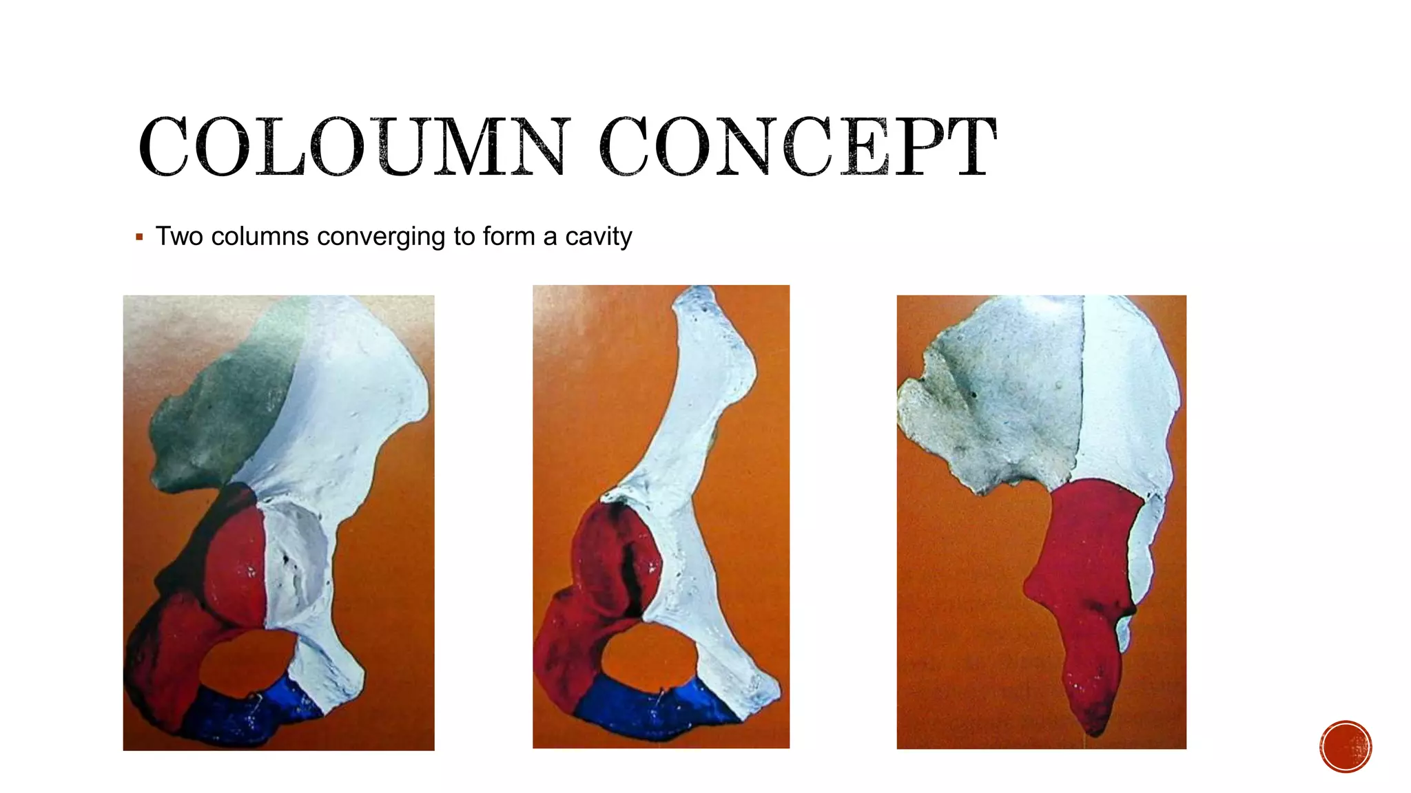 Surgical approach to acetabulum and pelvis | PPTX