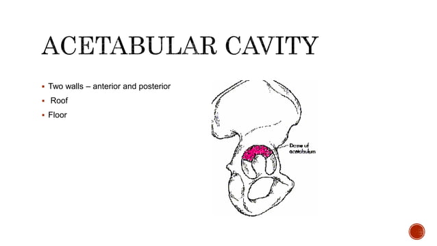 Surgical approach to acetabulum and pelvis | PPTX