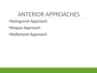 Surgical Approaches to Acetabulum and Pelvis | PPTX