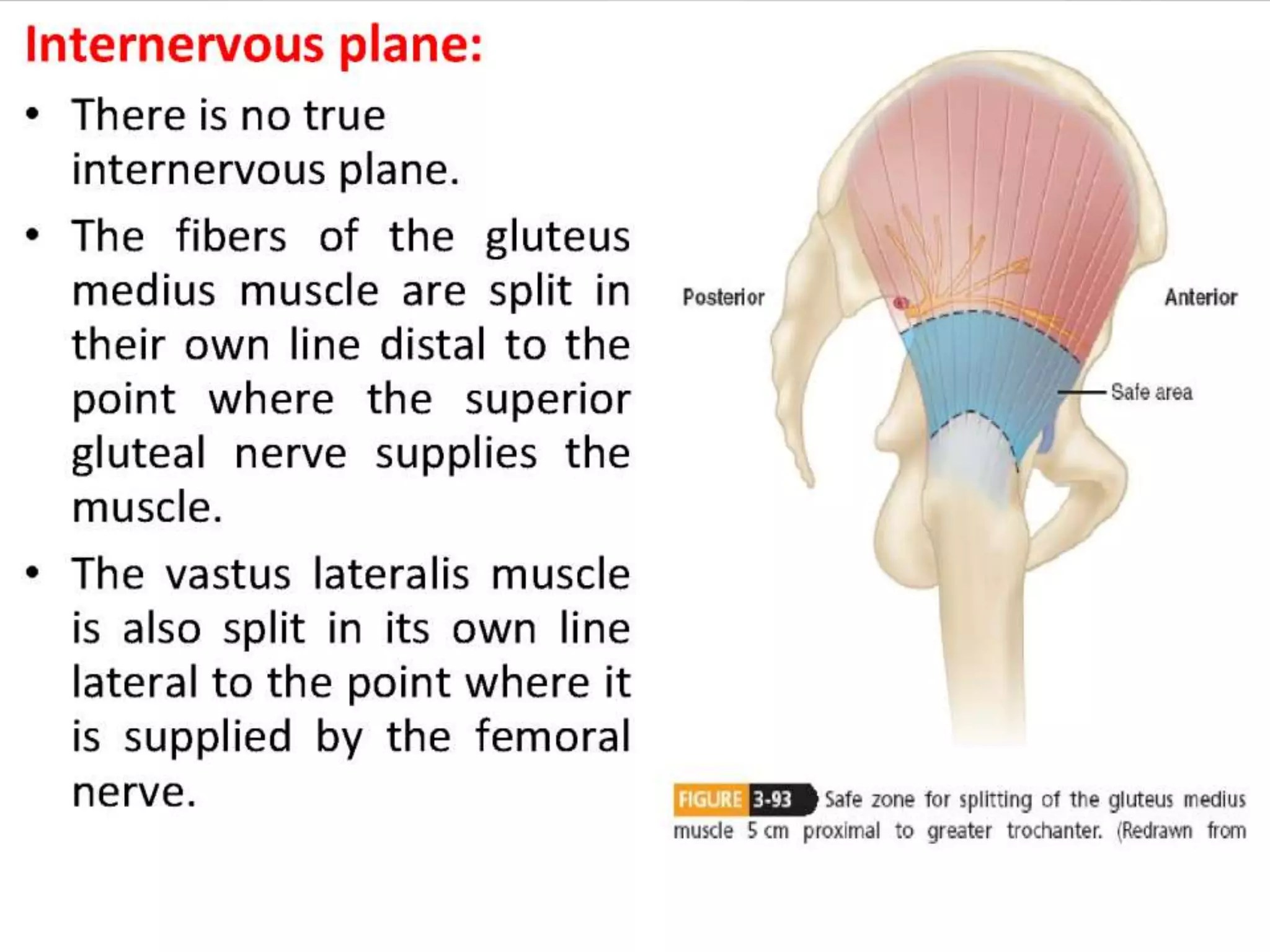 Surgical approach to hip joint and acetabulum | PPTX