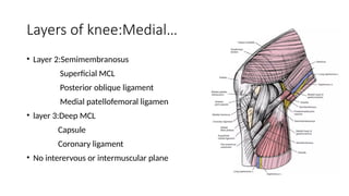 SURGICAL APPROACH TO KNEE JOINT PART 1 SIKU.pptx