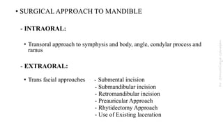 Surgical Approaches to the Mandible and Condyle | PDF