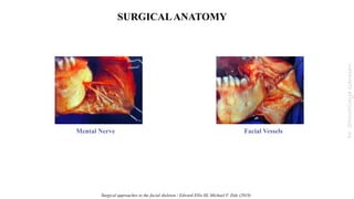 Surgical Approaches to the Mandible and Condyle | PDF