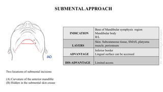 Surgical Approaches to the Mandible and Condyle | PDF