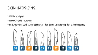 SURGICAL APPROCHES &INCISIONS.pptx