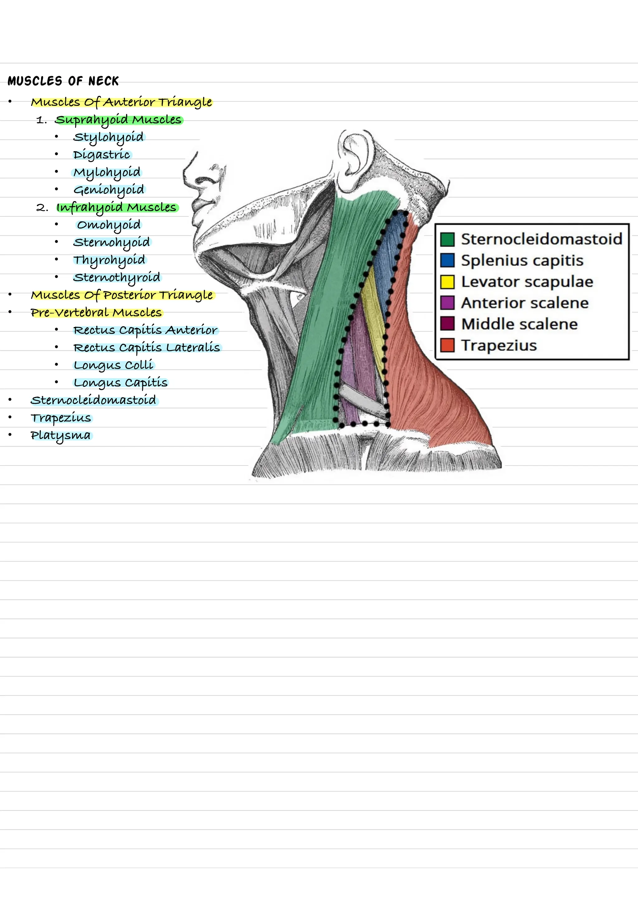 Surgical Aspect Of Neck Lump (general surgery).pdf
