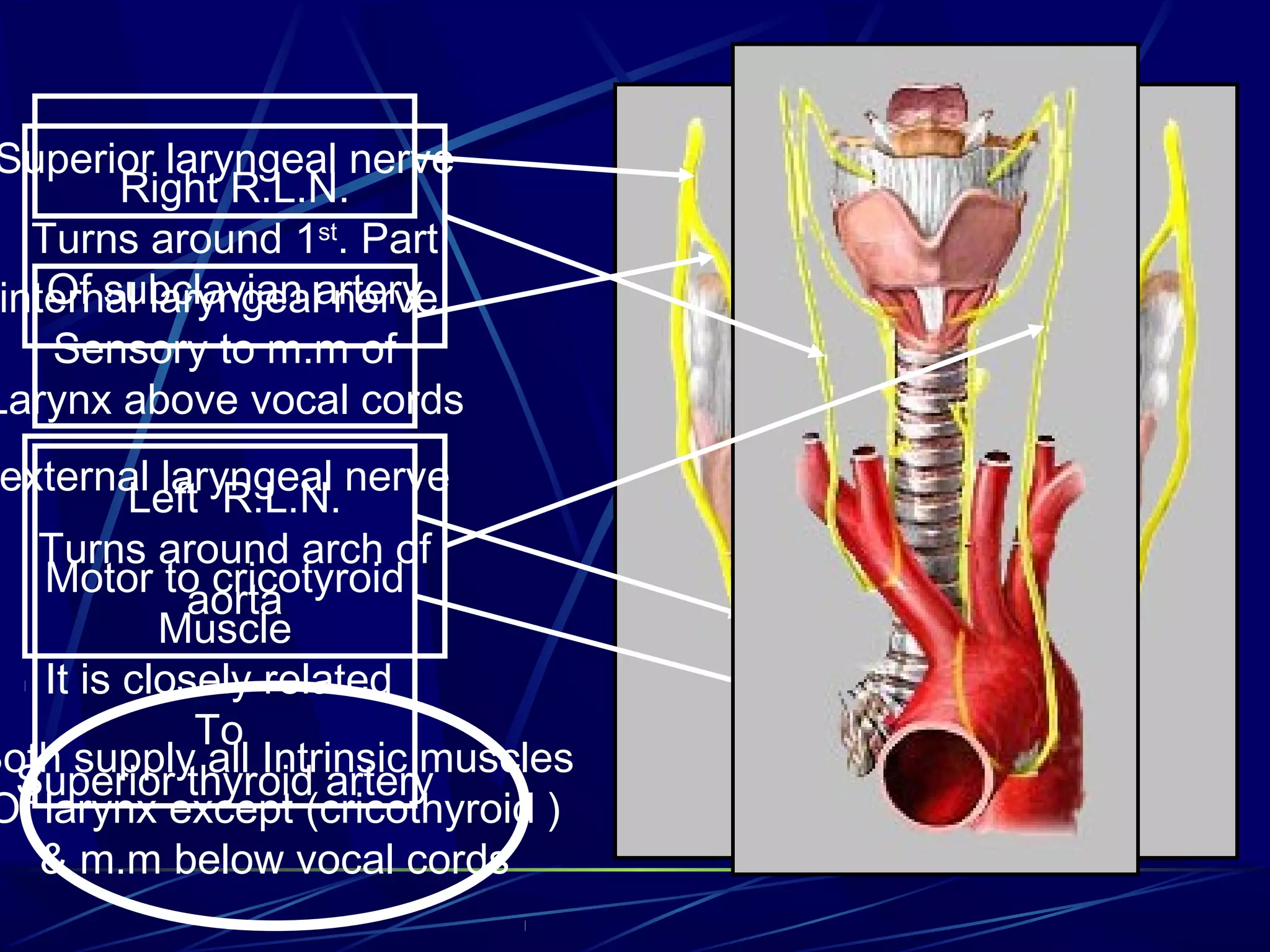 Surgical aspects of goitre | PPT