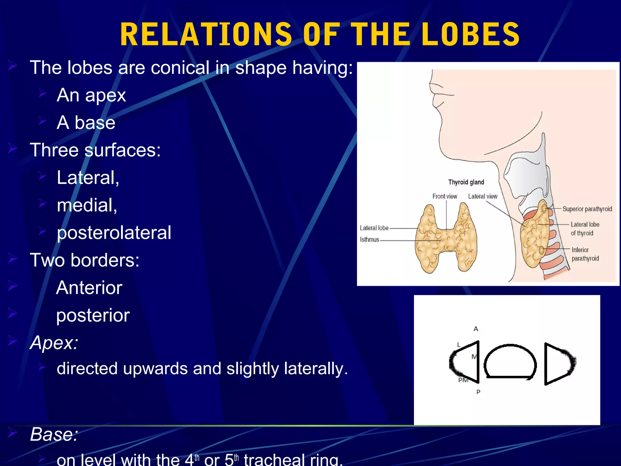 Surgical aspects of goitre | PPT