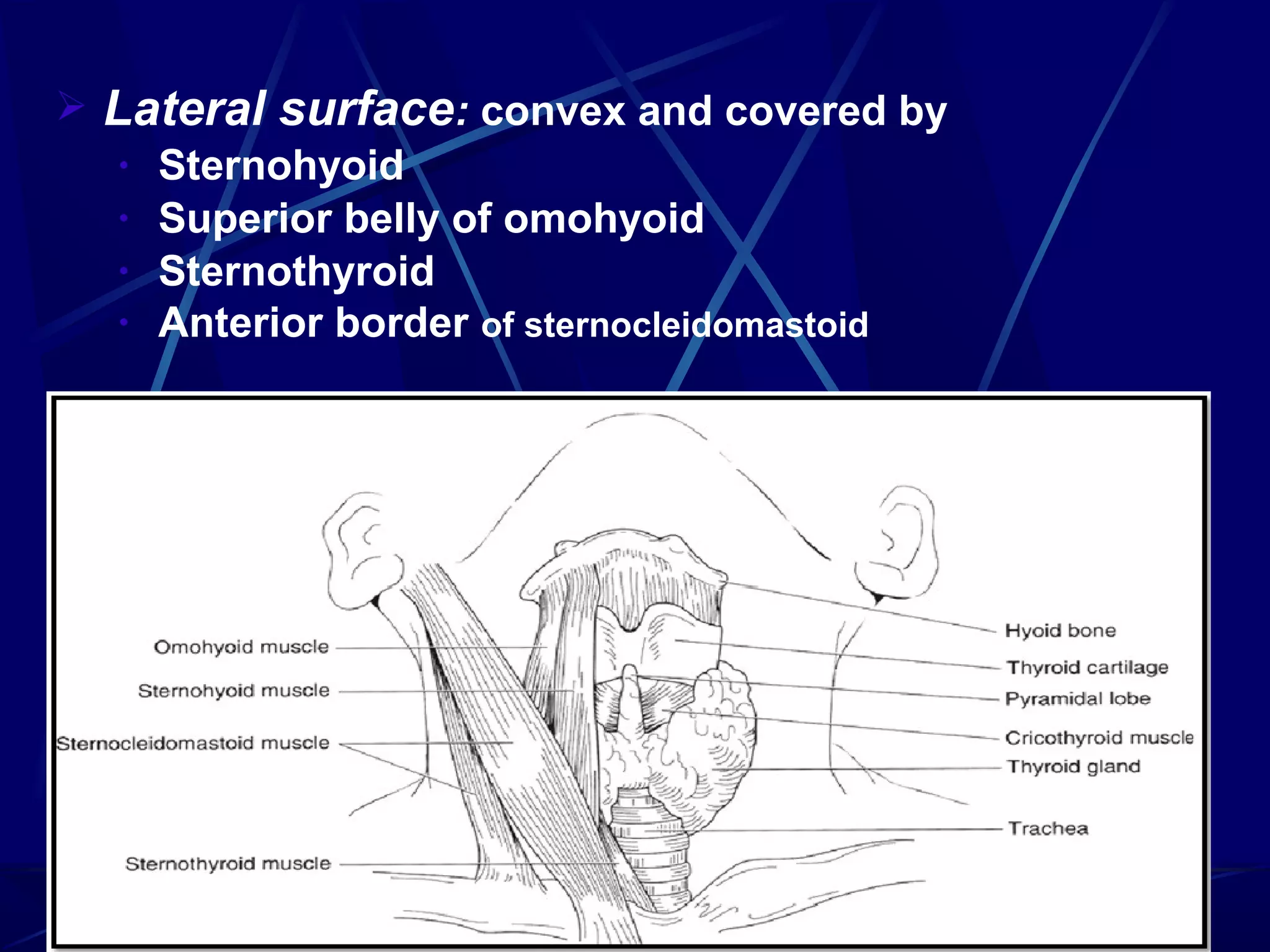 Surgical aspects of goitre | PPT