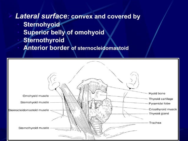 Surgical aspects of goitre | PPT