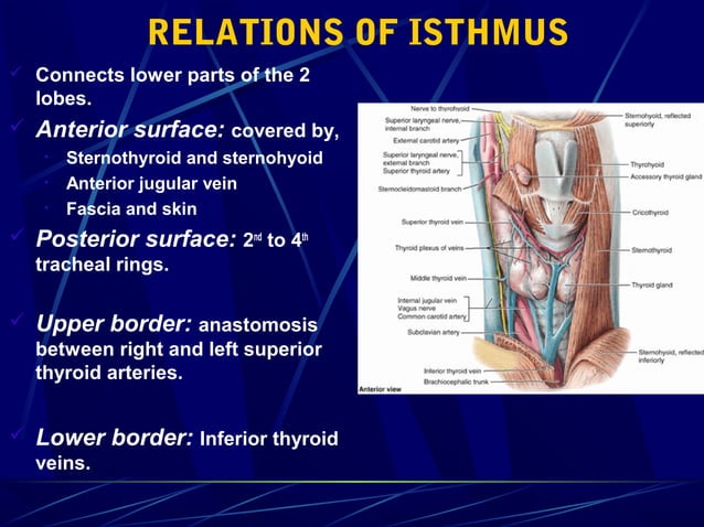 Surgical aspects of goitre | PPT