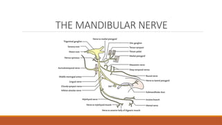 SURGICAL ASPECTS OF MANDIBULAR AND MAXILLARY NERVE.pptx