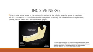 SURGICAL ASPECTS OF MANDIBULAR AND MAXILLARY NERVE.pptx