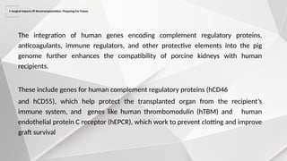 Surgical aspects of Xenotransplantation for future 2.pptx