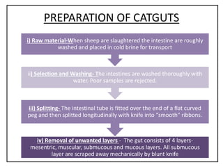 Surgical catguts | PPTX